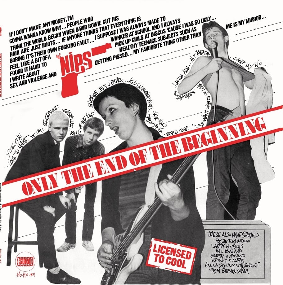 THE NIPS - Only The End Of The Beginning (LP) | Bad Billy Records