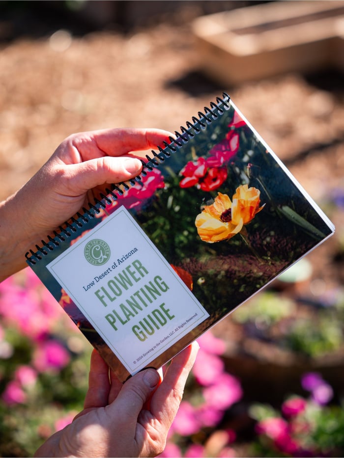 Low Desert AZ Flower Planting Guide | Laminated, Coil-Bound | Growing ...