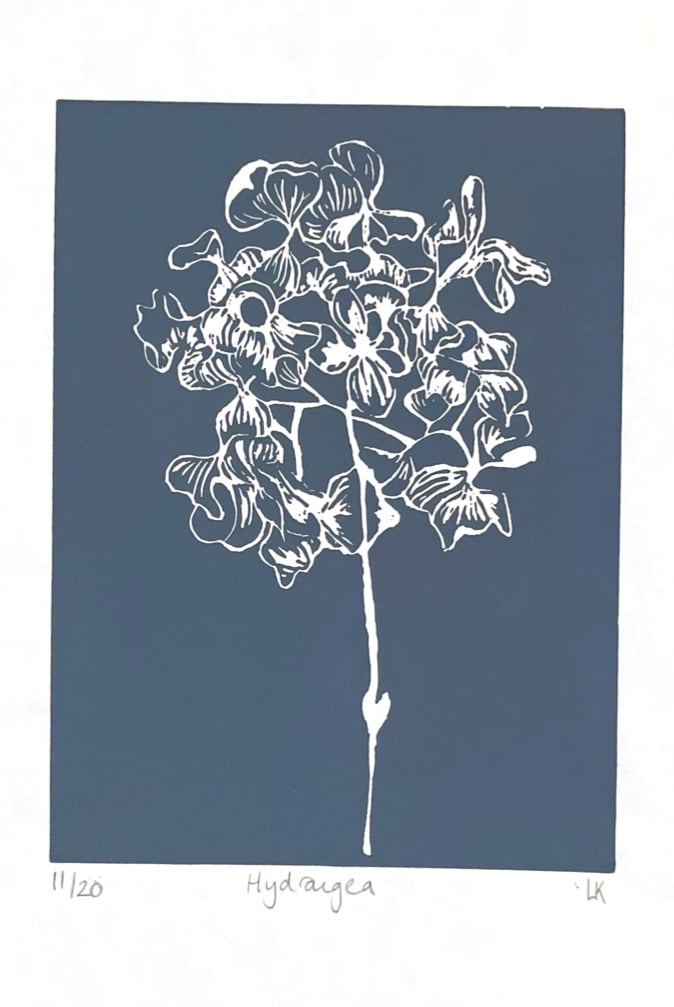 Grey Hydrangea | wayfaringwild