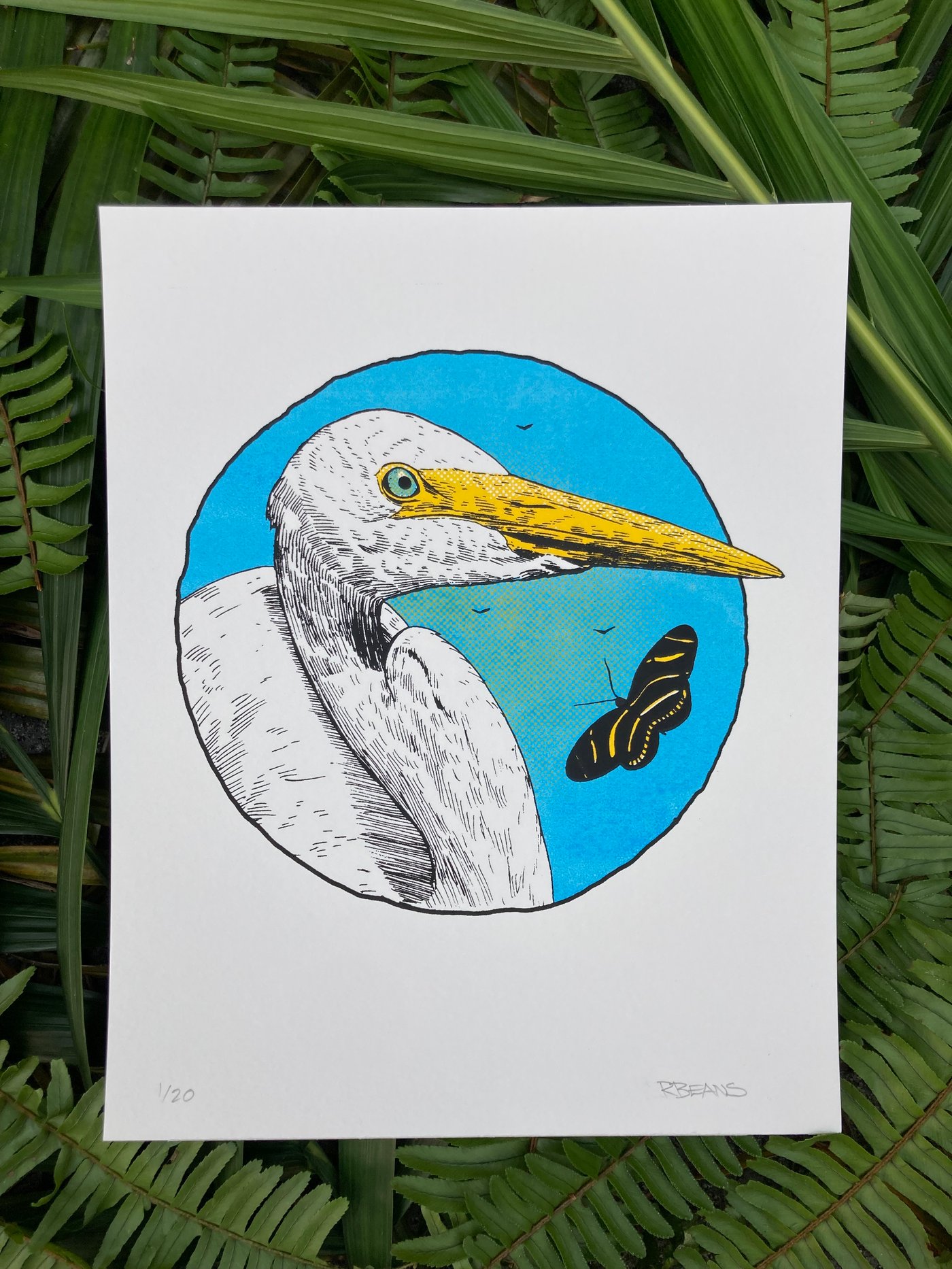 Great Egret/Zebra Longwing | R B E A N S illustration