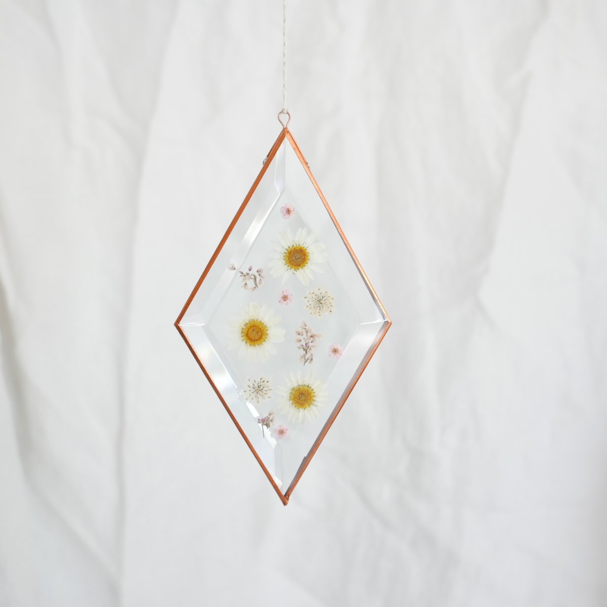 Pressed Flower Suncatcher - Daisy and Queen Anne's Lace | Hydrangea Ranger