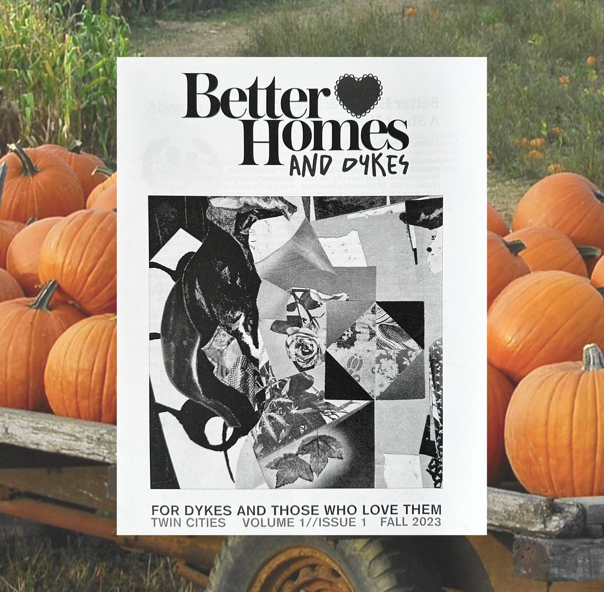 Fall 2023 Issue | Better Homes and Dykes