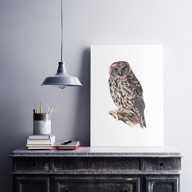 Morepork / Ruru Art Print | Baileys Alchemy