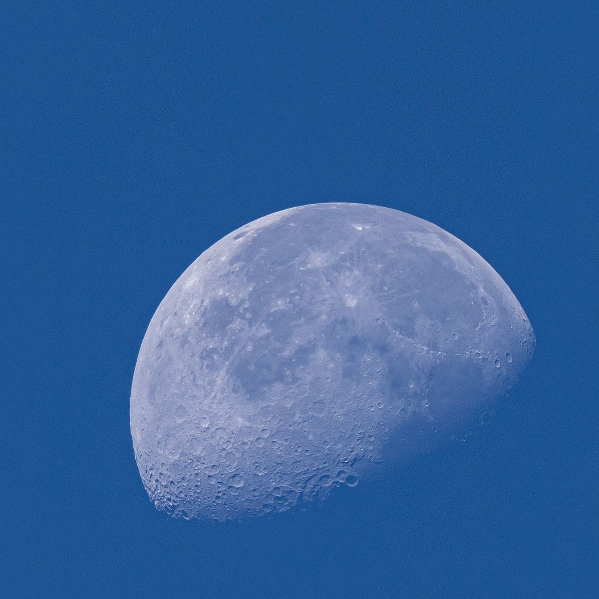 Michelle Walston - Morning Moon | Living Grey Collective