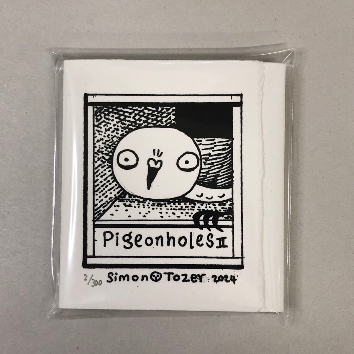 Pigeonholes Concertina Book | Simon Tozer