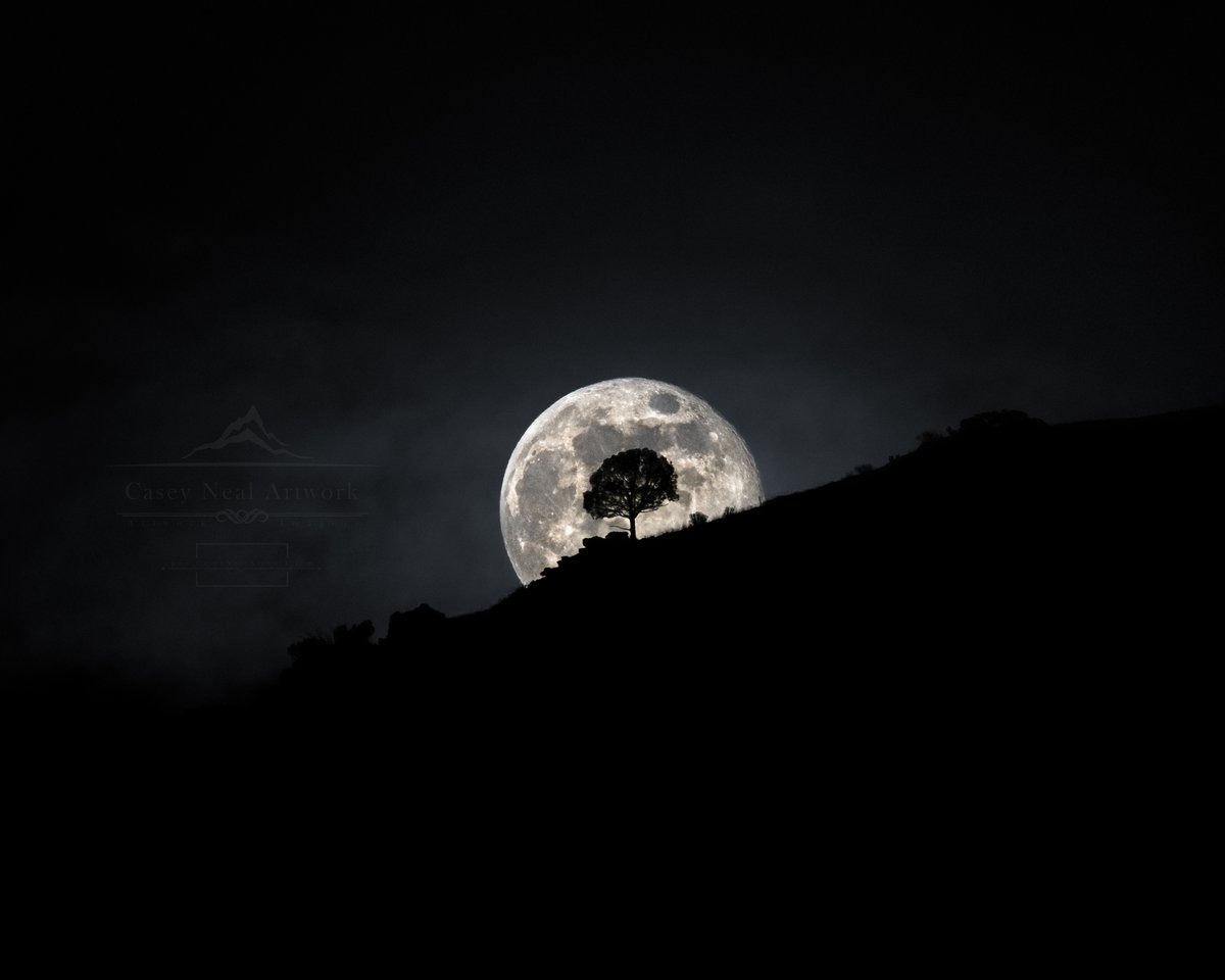 Cold Moon Rises | Casey Neal Artwork