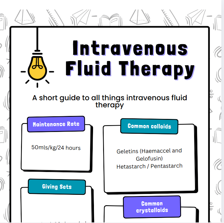Intravenous Fluid Therapy Guidance Sheet | PJ VN Tutoring Ltd