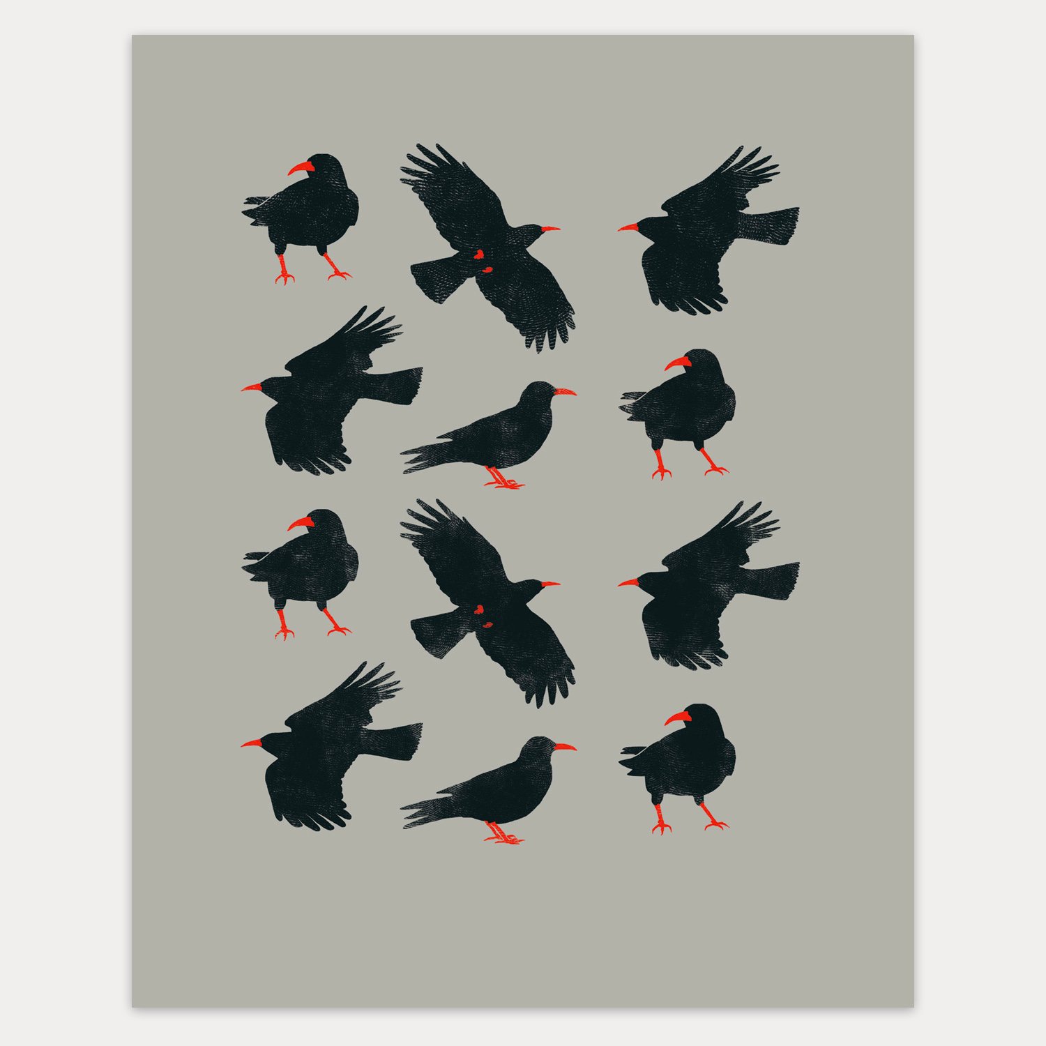 Choughed | Jetty Street Press