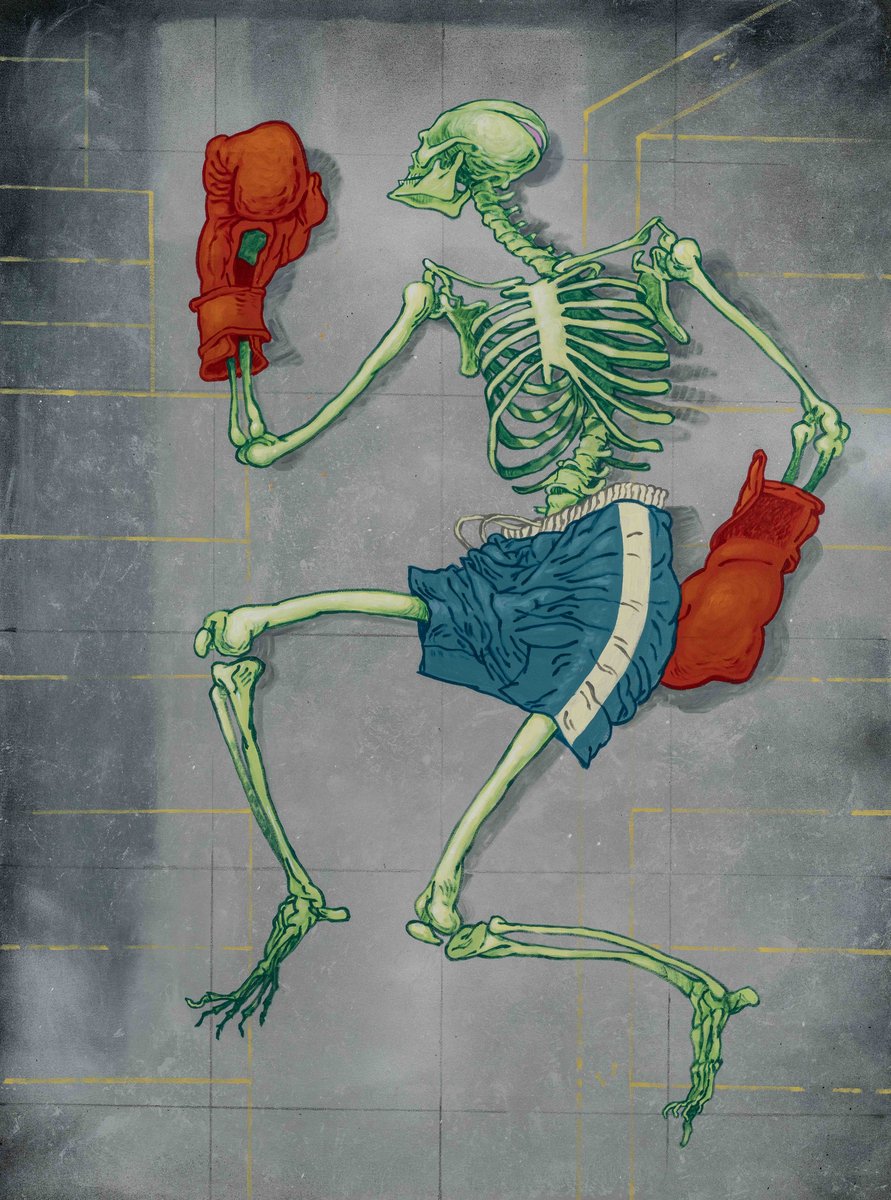 Bone Boxer | Kittbennett