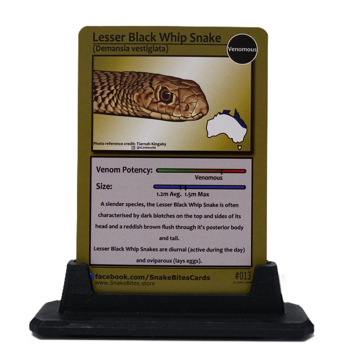 Products | Snake Bites Cards