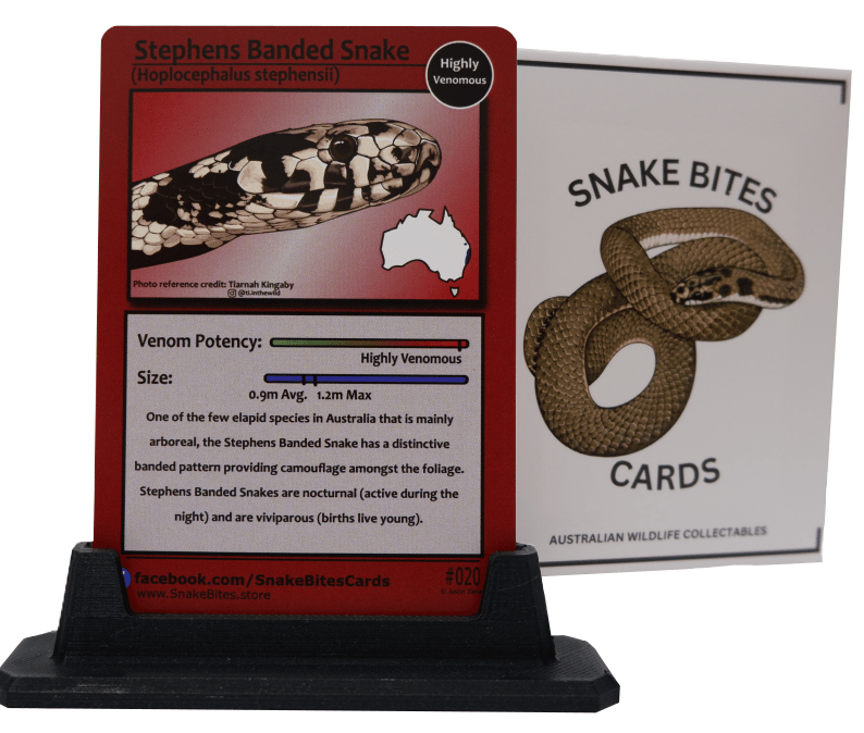 Snake Bites Cards