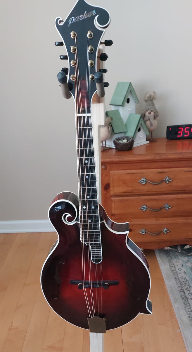 Custom Made F Style Mandolin | Parker Stringed Instruments