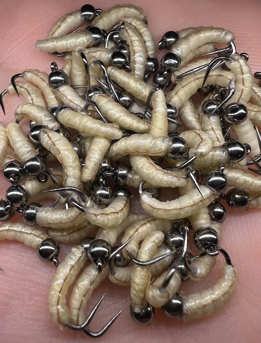 Wax Worms | Fleeger’s Flies