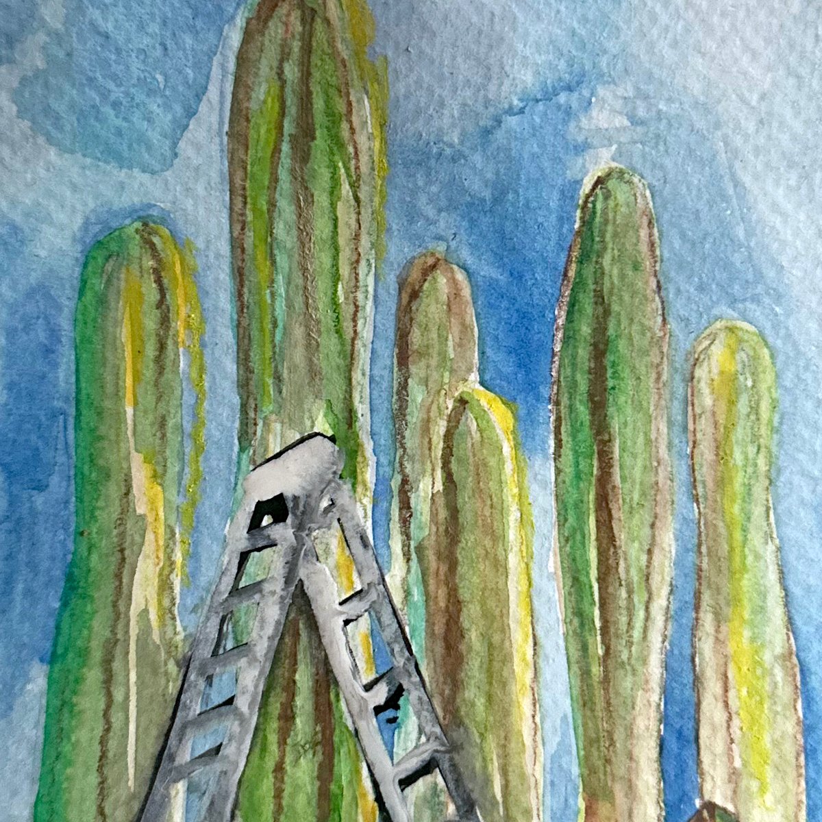 Cactus Ladder, Original Watercolor | chaparral studio