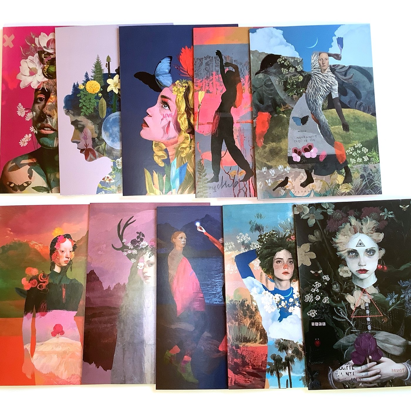 ‘Wild & Blooming’ Card Collection | Sarah Jarrett Art