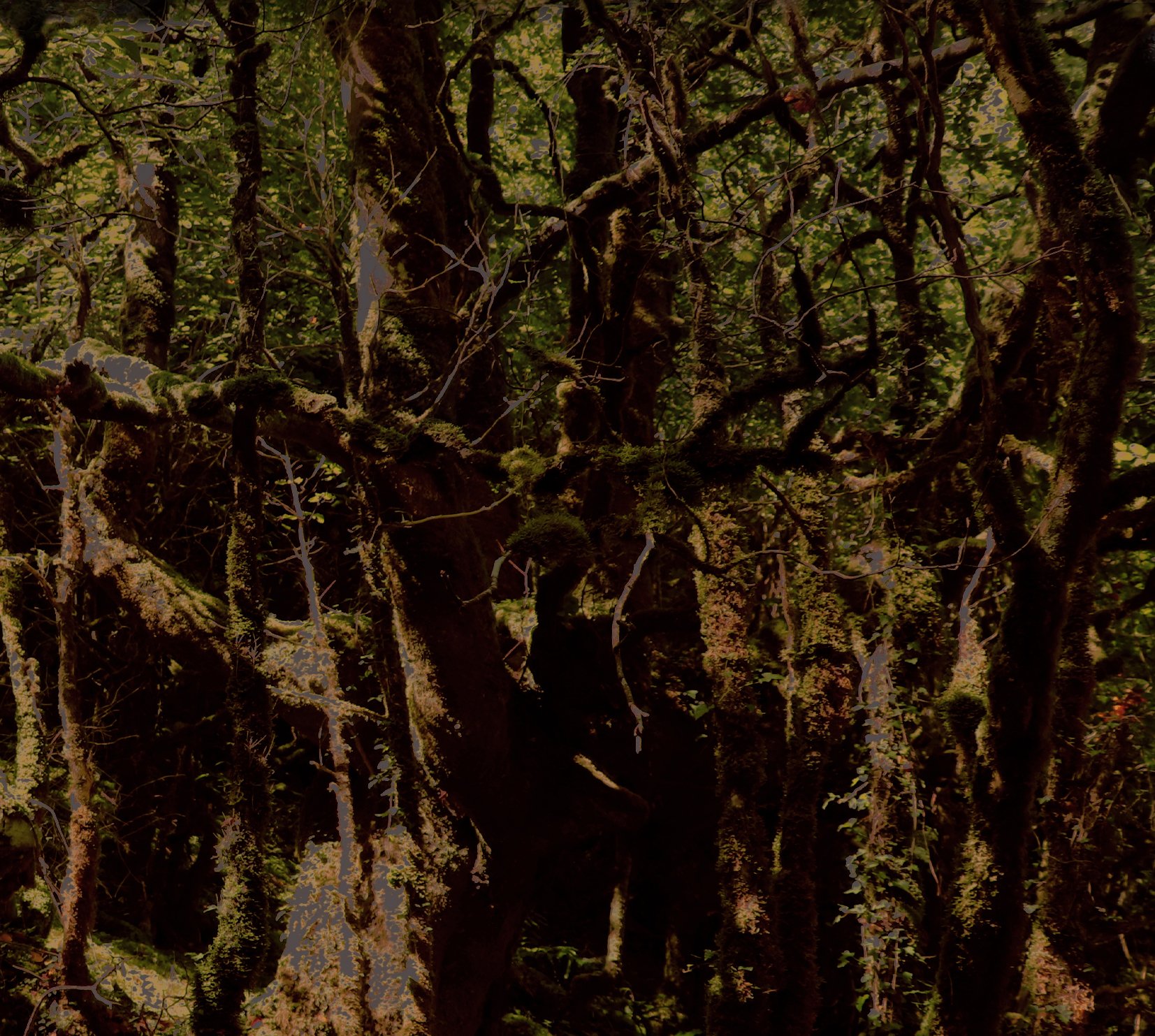 WV068 Pays du Mat (FR) - Kahatl CD | WV Sorcerer Productions 巫唱片