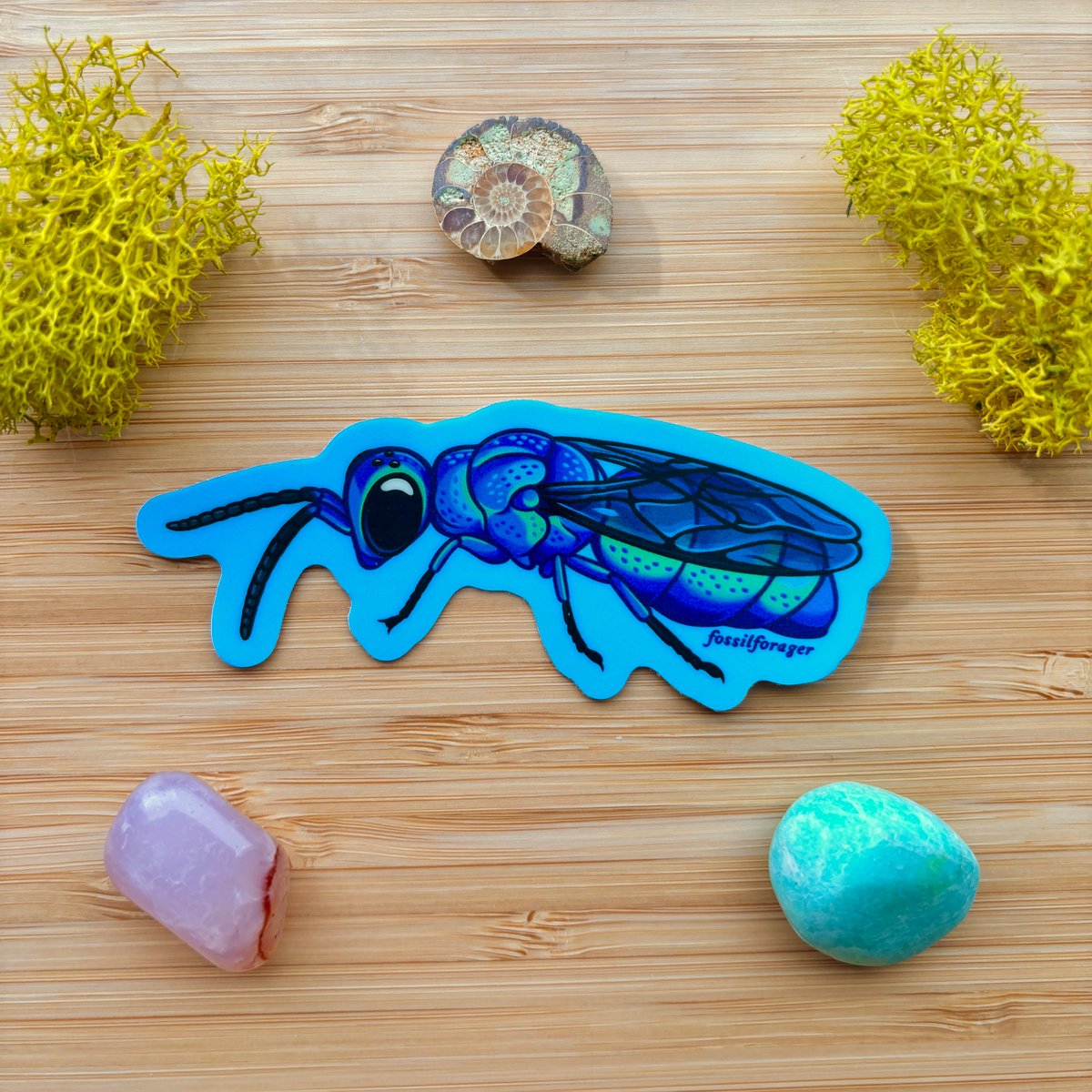 Cuckoo Wasp Sticker | fossilforager