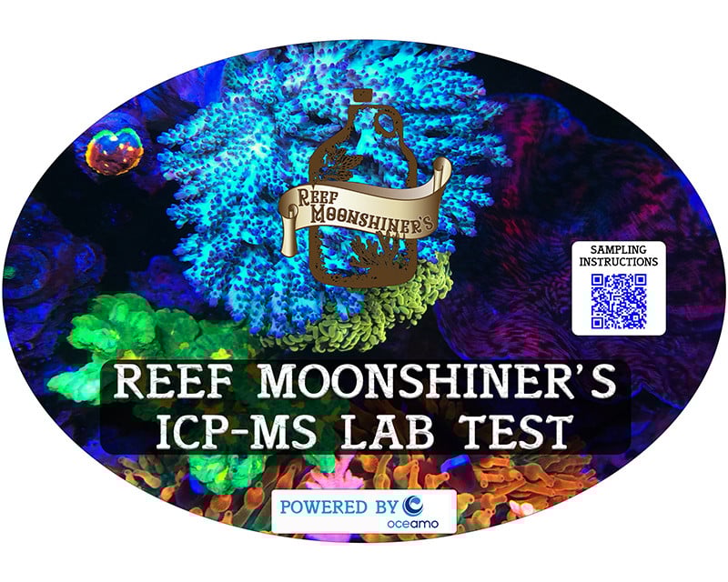 Reef Moonshiners | Coral Life
