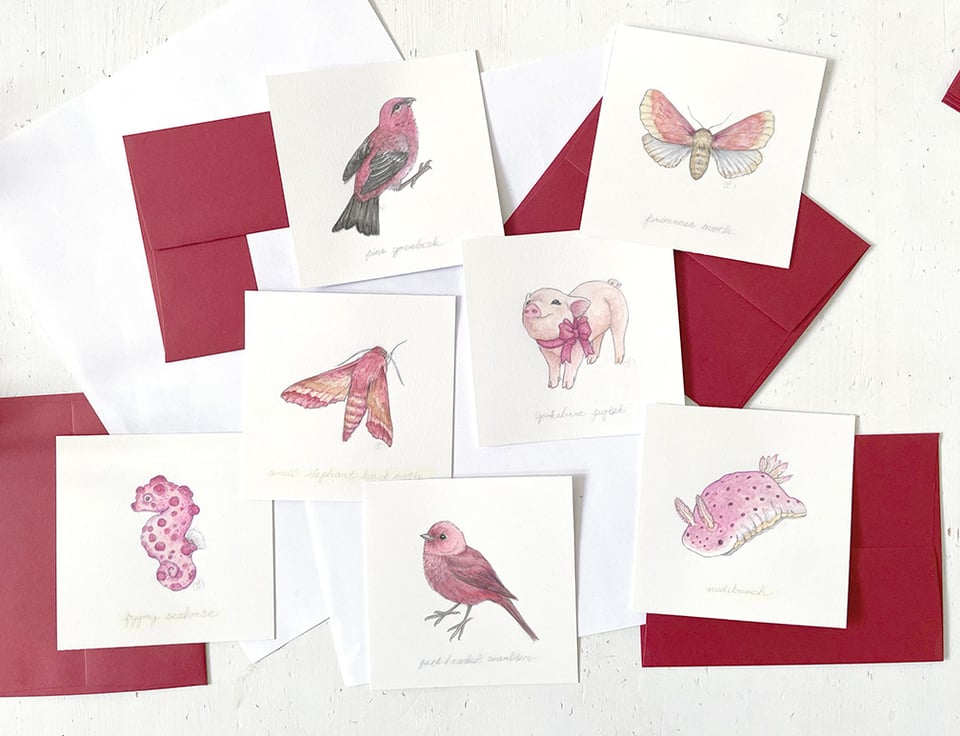 Products | Candace Jean