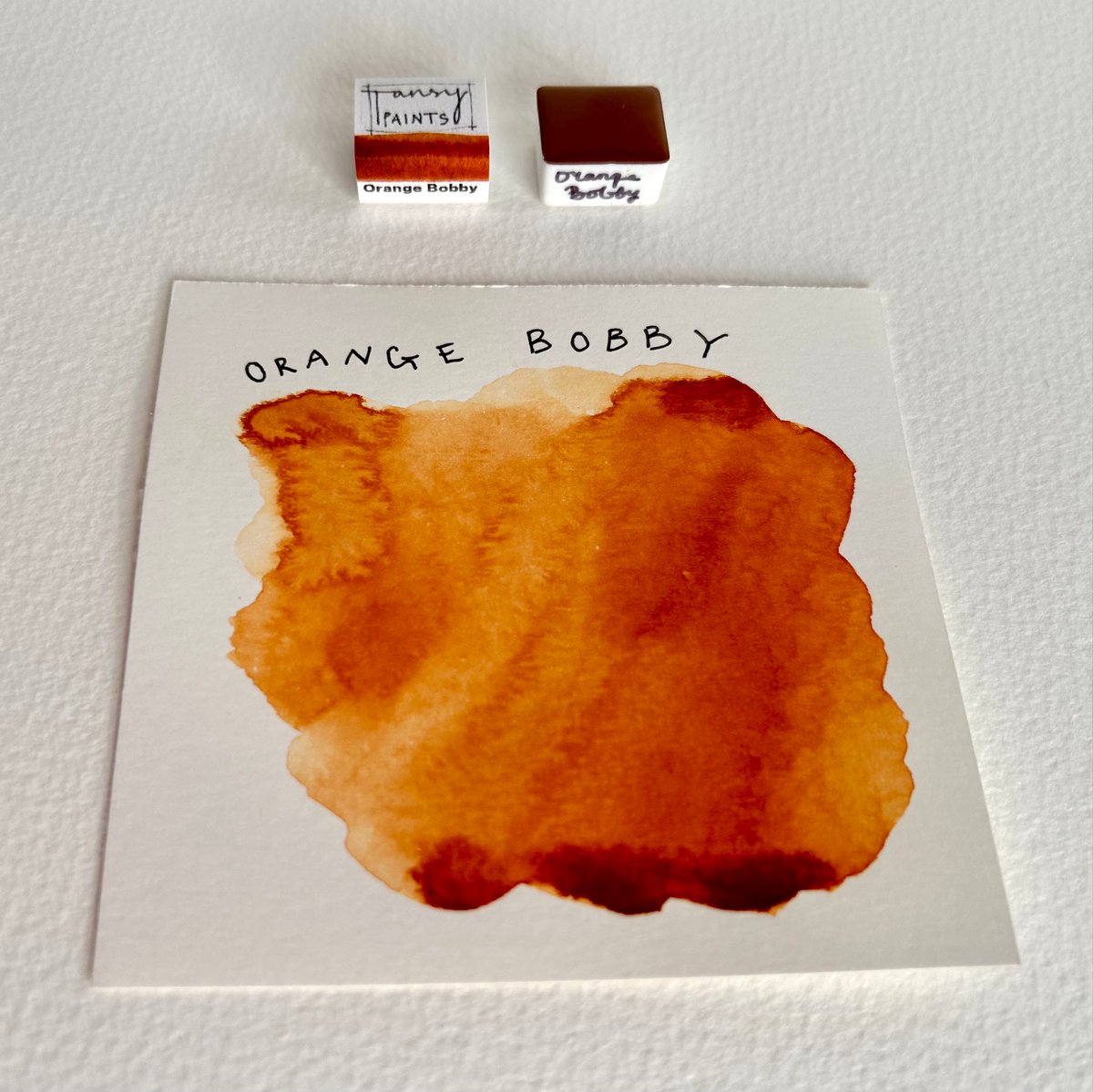 Orange Bobby watercolour | Tansy Hargan