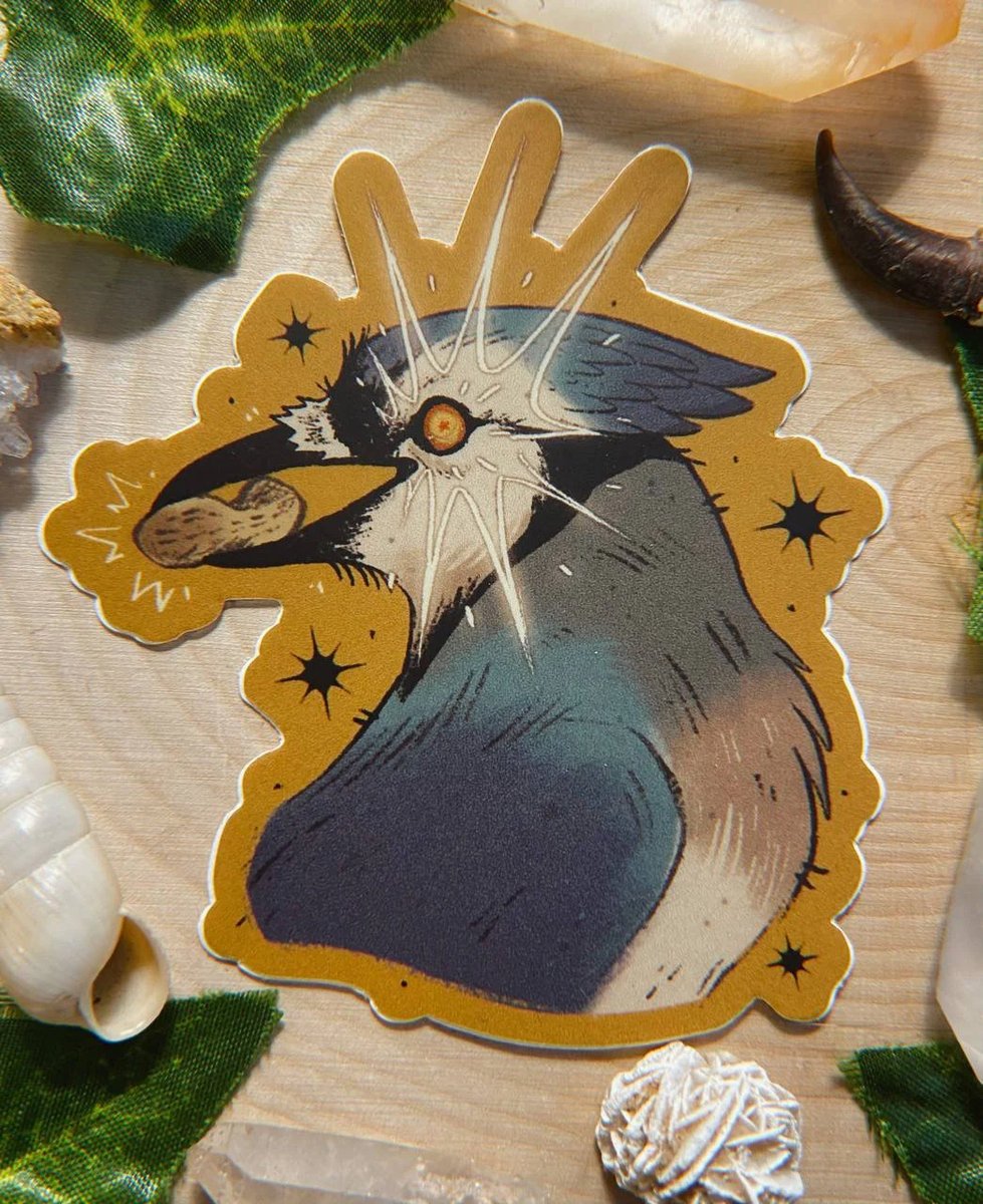 Blue Jay Sticker | Mothsprout Art
