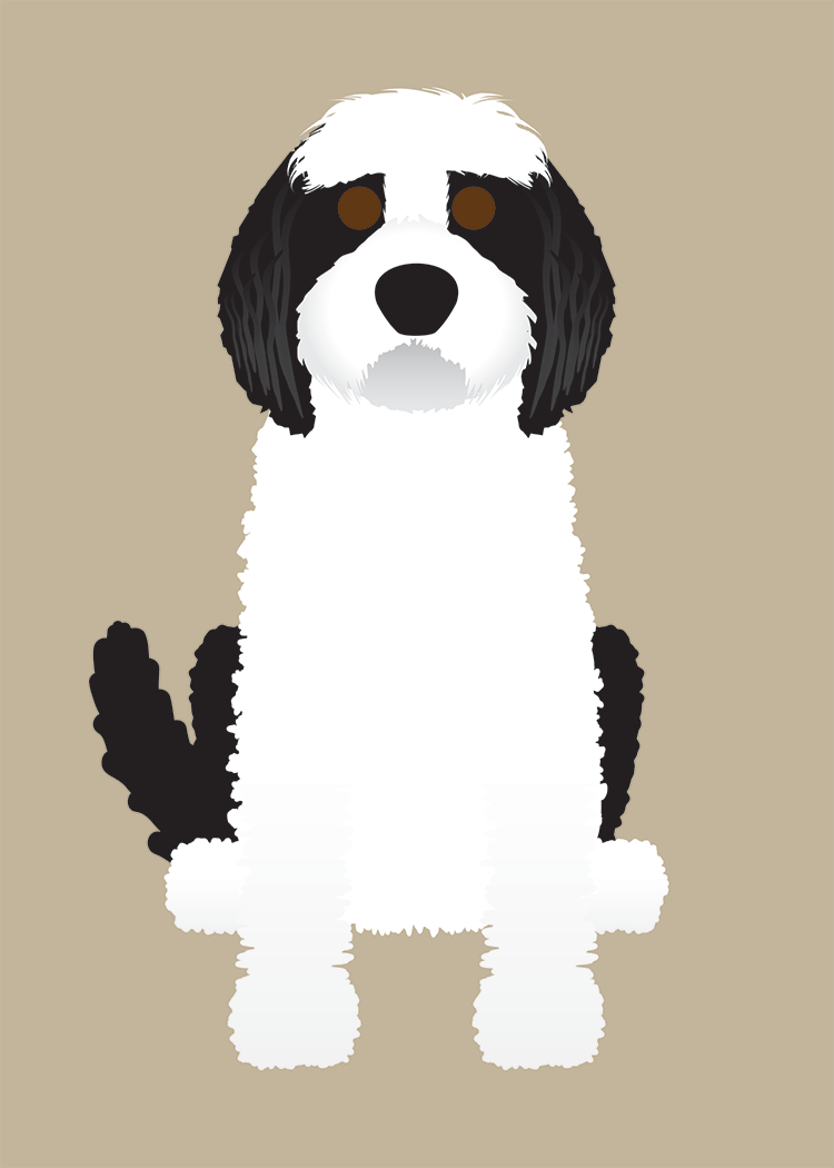 Sheepadoodle Collection | marcartshop