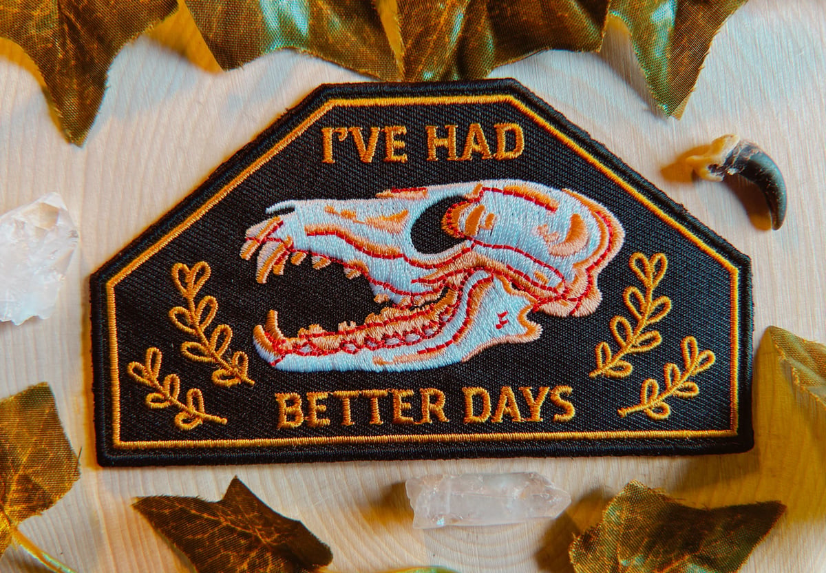 I’ve Had Better Days Patch | Mothsprout Art