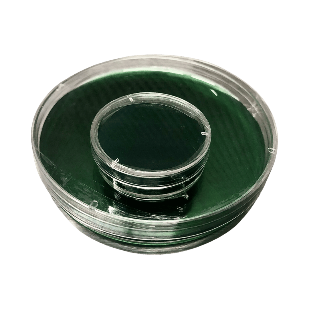 Pre poured 35mm plates | A CUT ABOVE BENEVOLENCE