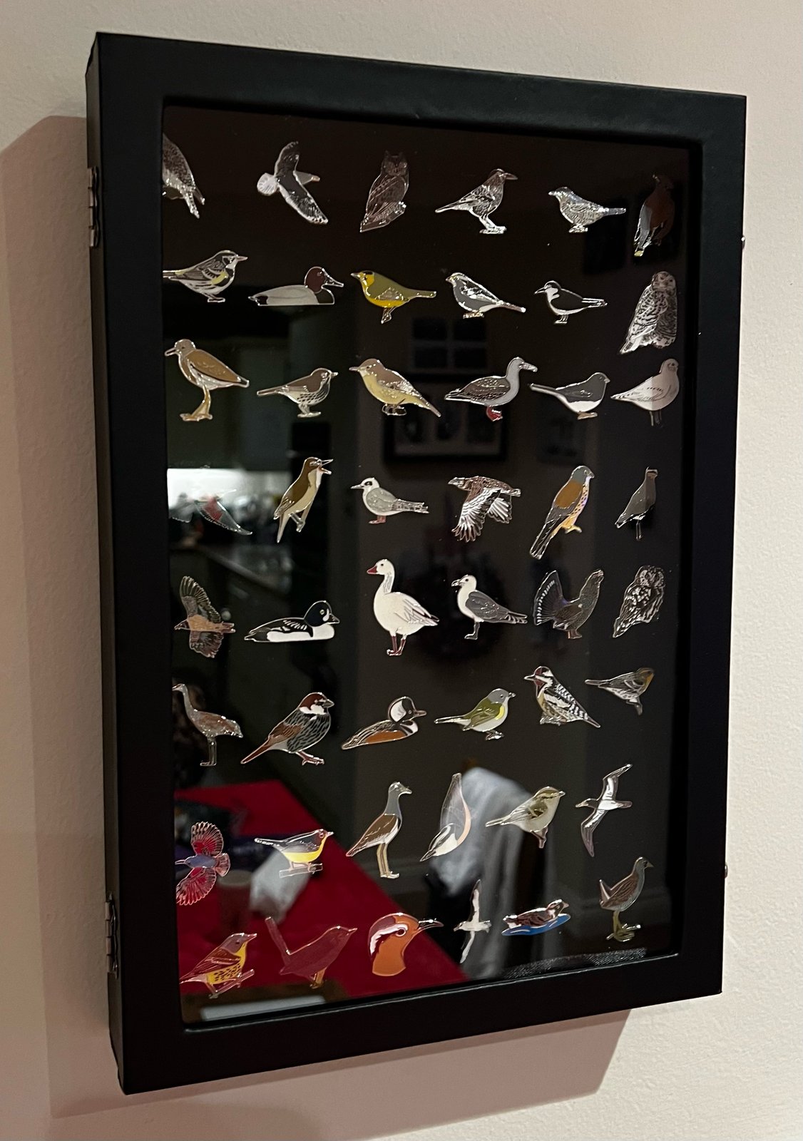 Pin Badge Display Case - 3 Sizes Available | UK Birding Pins