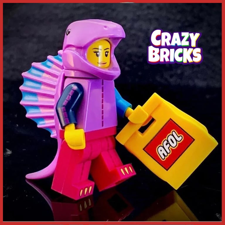 Custom Accessories | Retailer Portal Crazy Bricks
