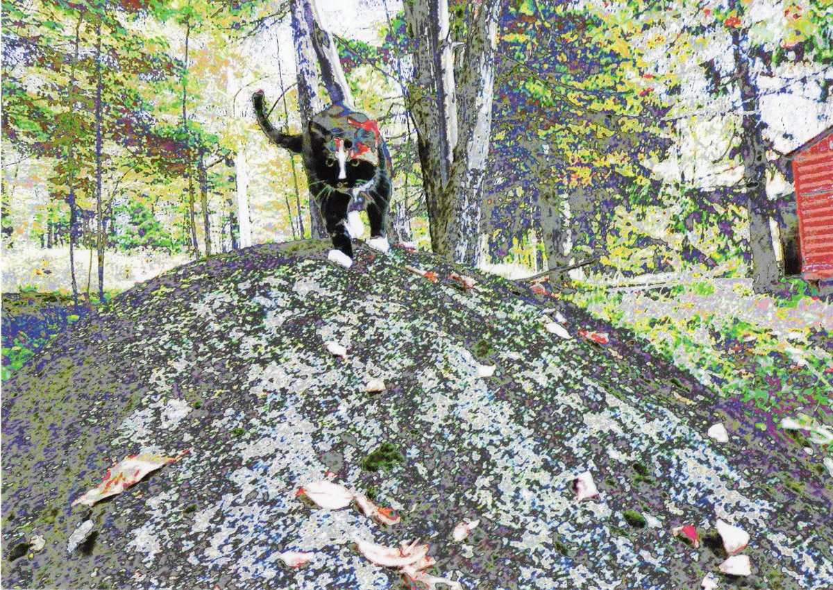 "Lilo And Moby" Note Card | Mustang Hill Graphics