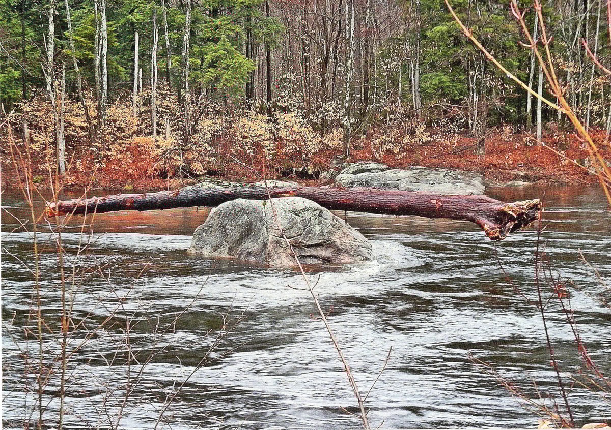 "Balance" Note Card | Mustang Hill Graphics