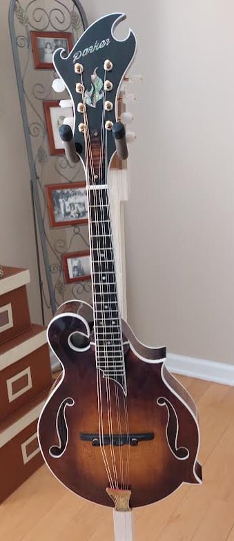 Custom Fmodified Mandolin | Parker Stringed Instruments