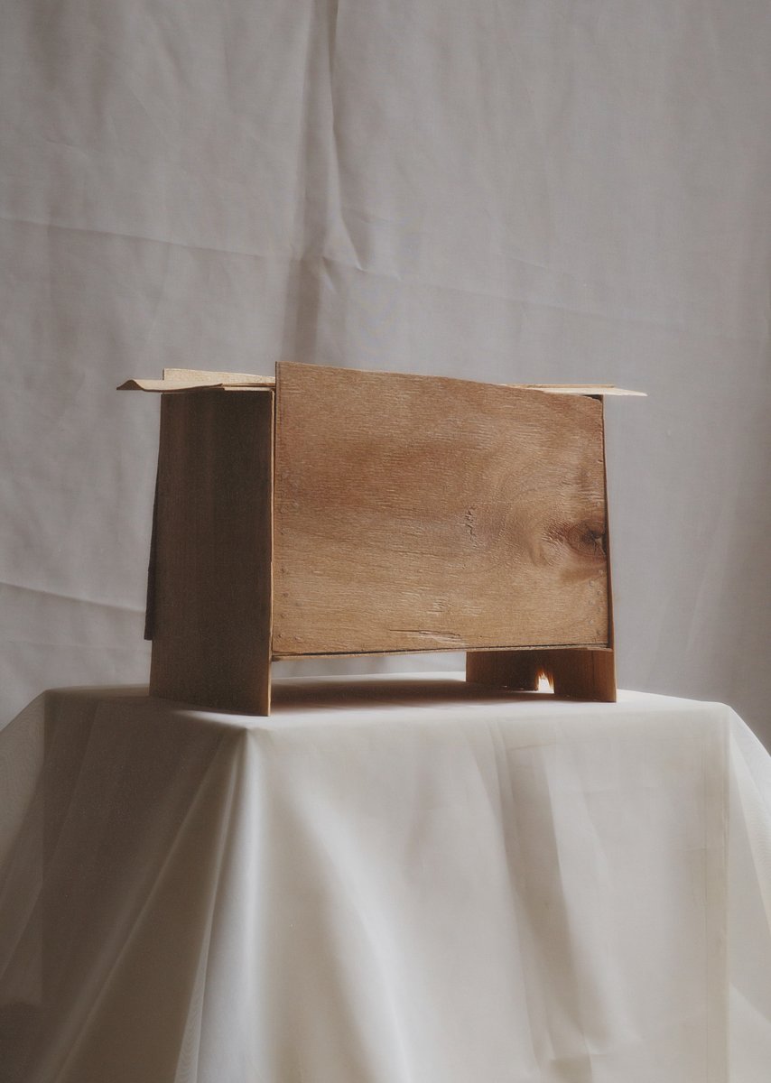 FLE 01 | THOMAS ROGER