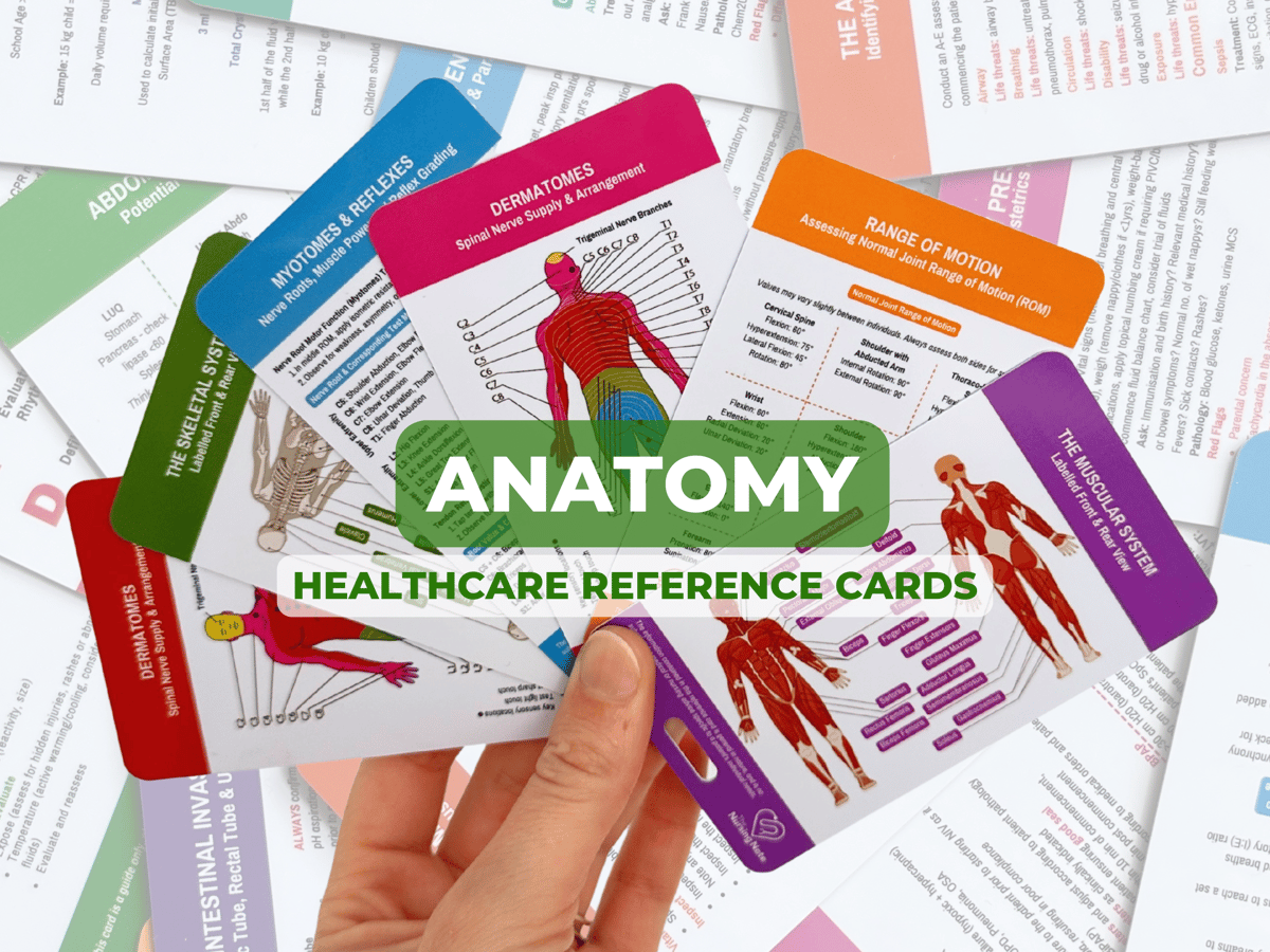 Anatomy Healthcare Reference Cards | The Nursing Note
