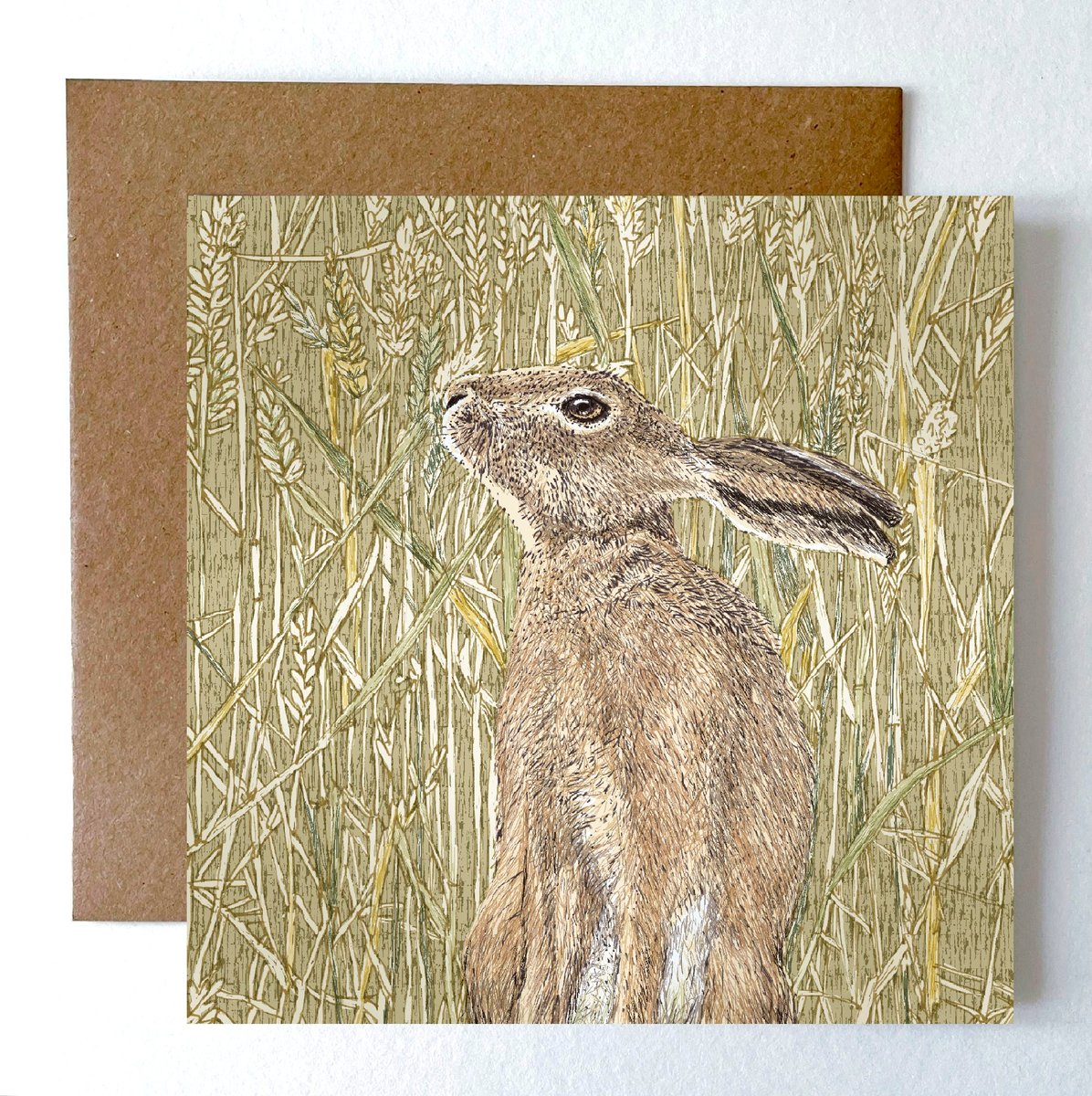 HARVEST HARE GREETING CARD | Helen Briggs Design- Bird Artwork and ...