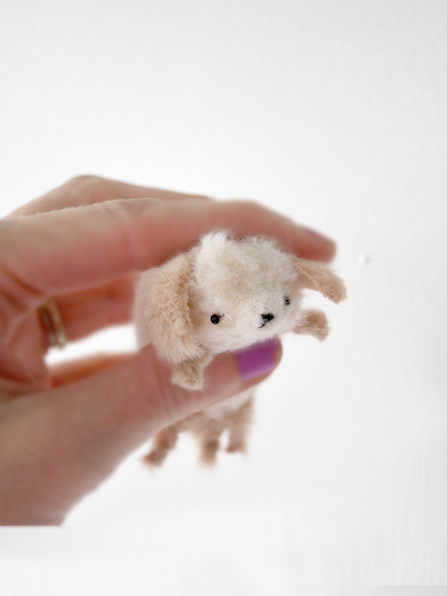 fluffy puppy | mountroyalmint