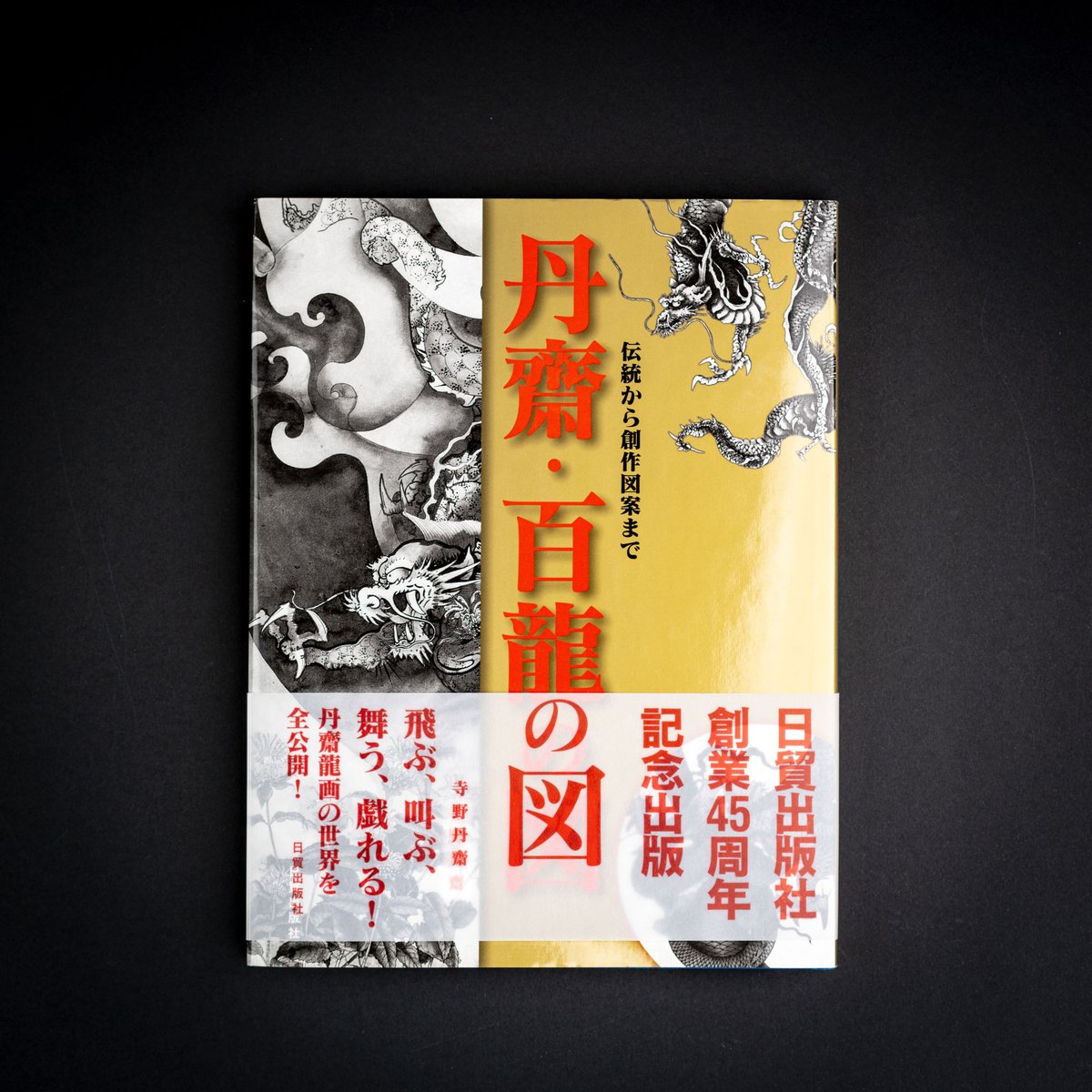 TANSAI TERANO AND THE HUNDRED DRAGONS | GAKUSEIBOOKS