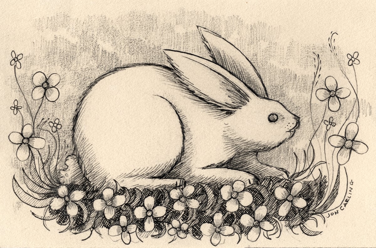 'Rabbit Nest' Original Drawing | Jon Carling