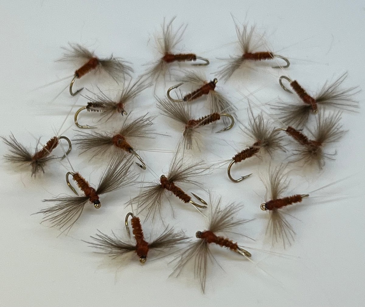 Rusty Spinner | Fleeger’s Flies