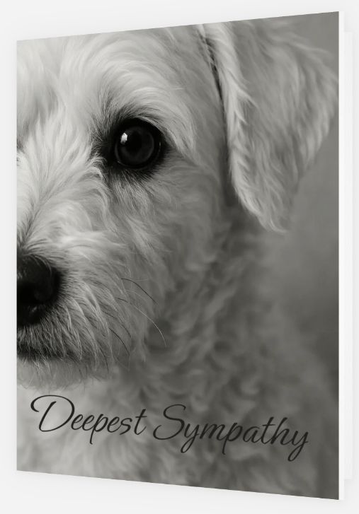 Dog (white) (cards & envelopes) min order 50 cards | Rapid Impressions ...