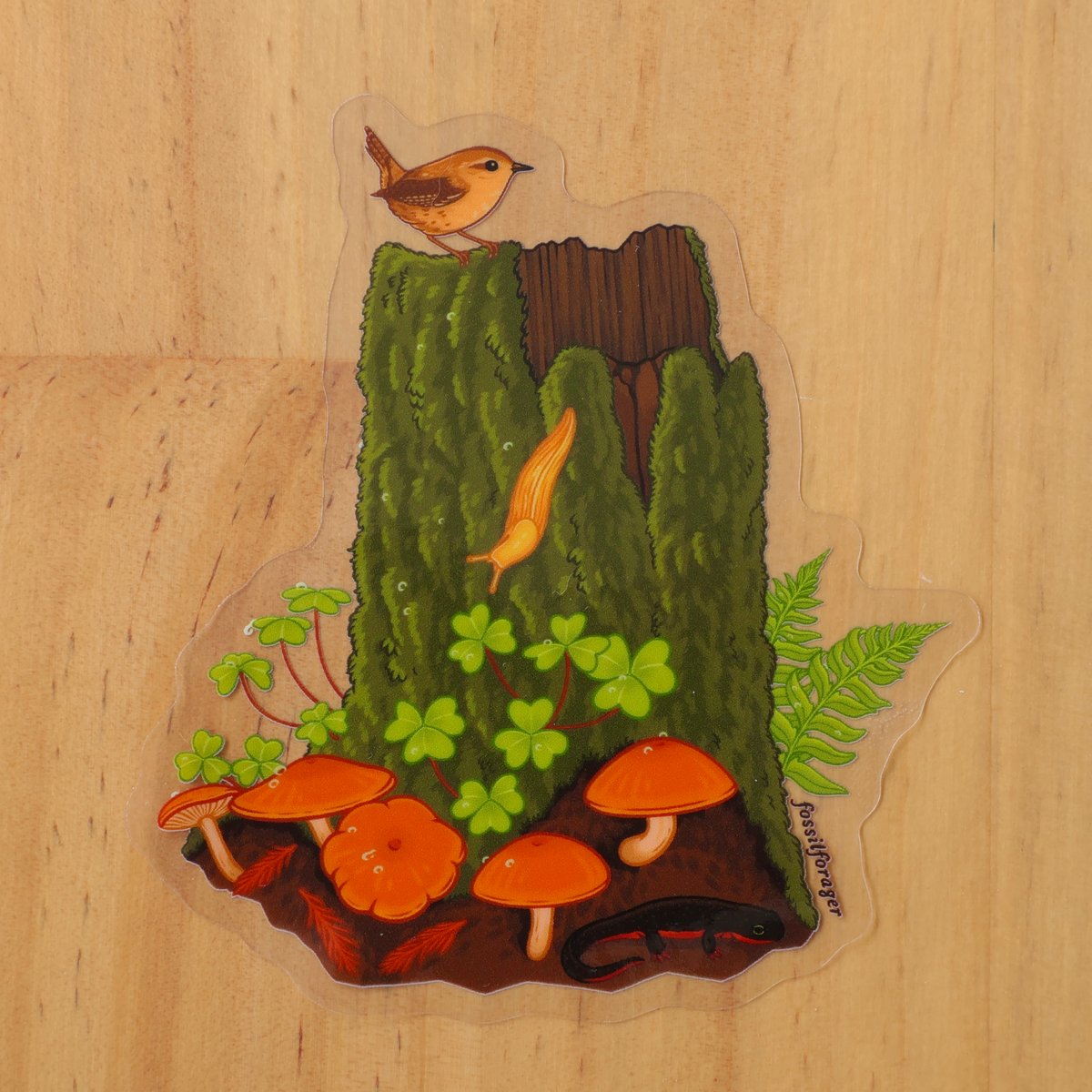 Redwood Ecosystem Sticker *Clear!* | fossilforager