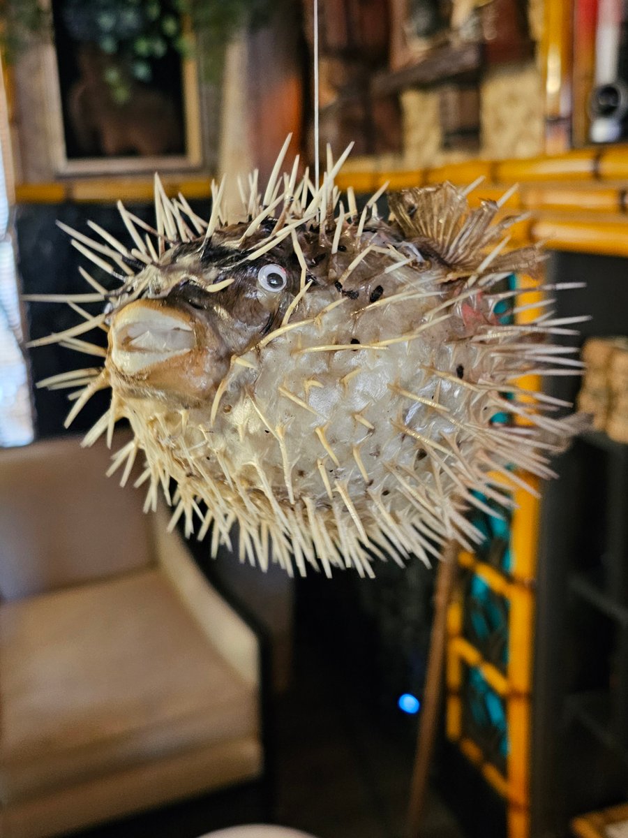 Hanging Stuffed Pufferfish (Set of Four) FREE SHIPPING! | Tiki Classics ...