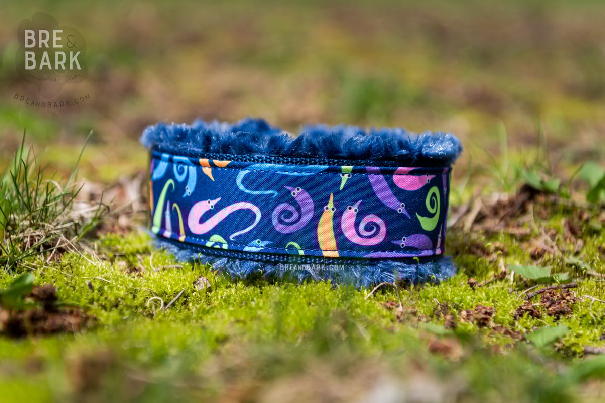 Silly Worms | Bre & Bark Handcrafted Collars | Breanna Rae Craetive LLC