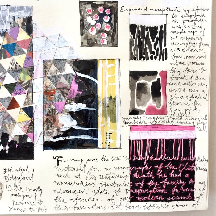 Rainbow Reverie ONLINE | Tansy Hargan