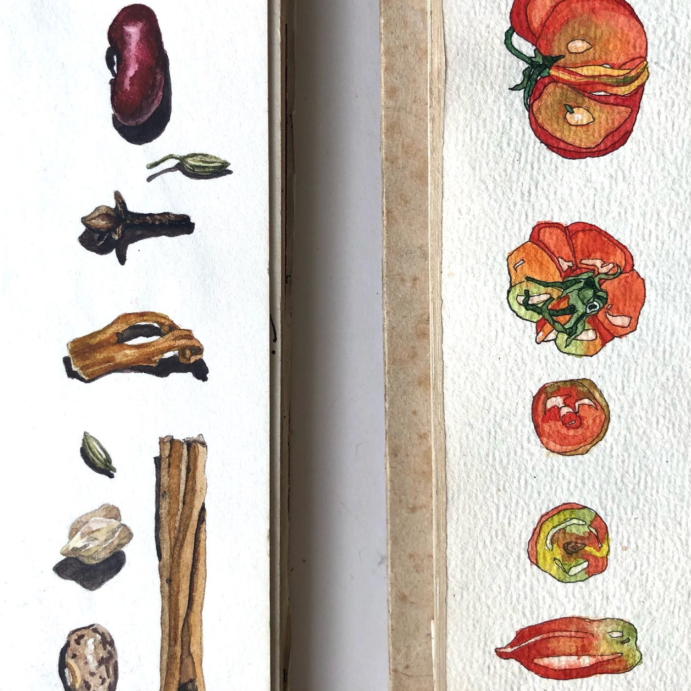 Rainbow Reverie ONLINE | Tansy Hargan