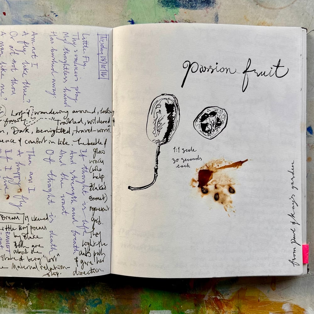 Rainbow Reverie ONLINE | Tansy Hargan