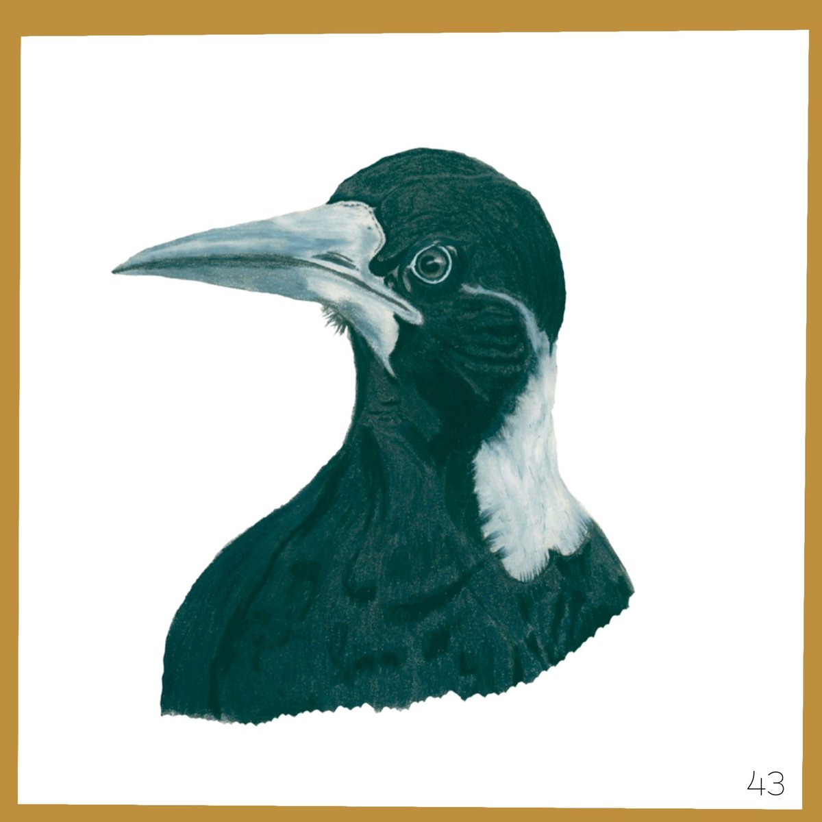 Graphite Cards | Mazzart