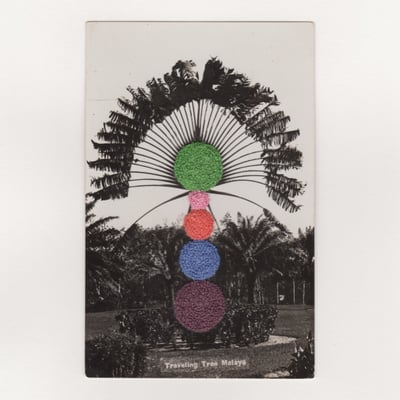 Home | Francesca Colussi Cramer