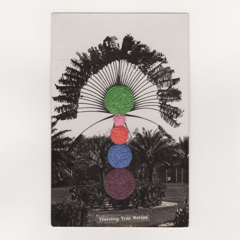 Home | Francesca Colussi Cramer